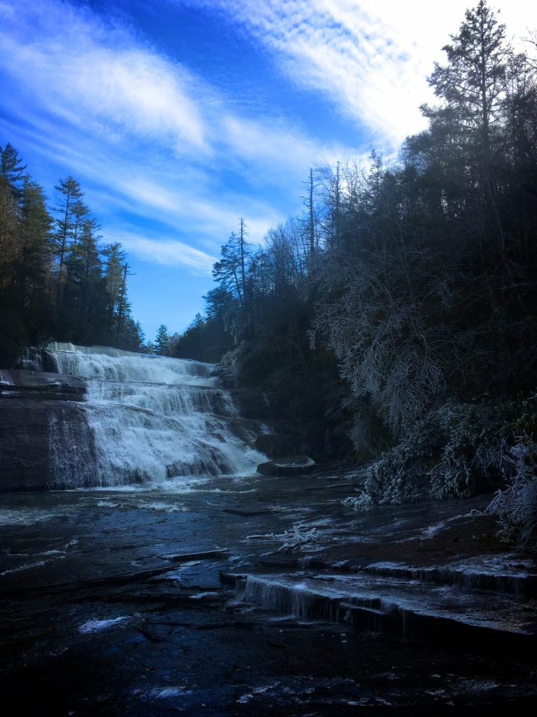 Cold....so cold... - fauna365