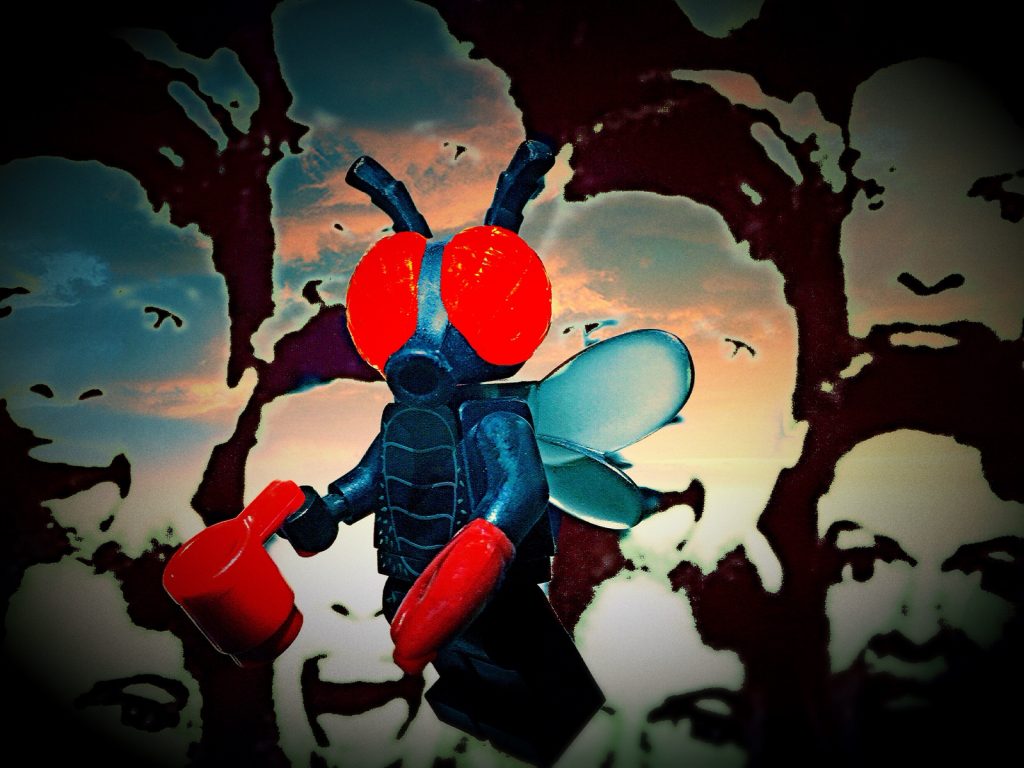 Giant Fly Monster Runs Amuck! - fauna365